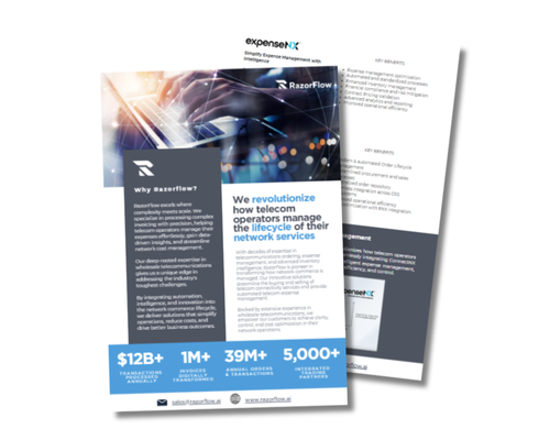 LP Download RazorFlow Brochure